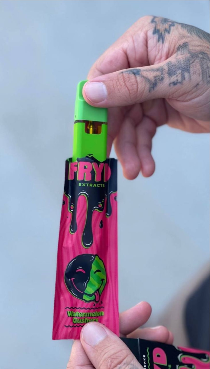 Fryd disposable 2 gram | Fryd Extract Official